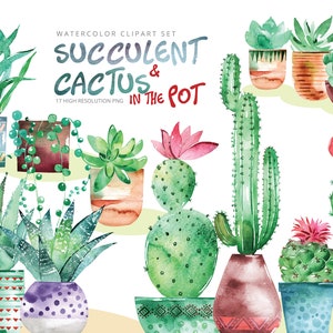 Succulent Cactus With Pots Clipart Set | Watercolor Clip Art Cacti ...