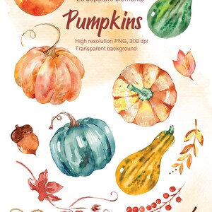 Watercolor Pumpkin Clipart Set | Autumn Clip Art | Hand Painted ...
