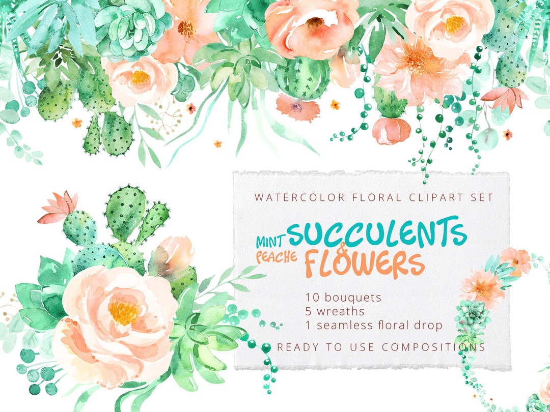Mint Peach Succulent Clipart Set | Watercolor Soft Pink Flowers ...