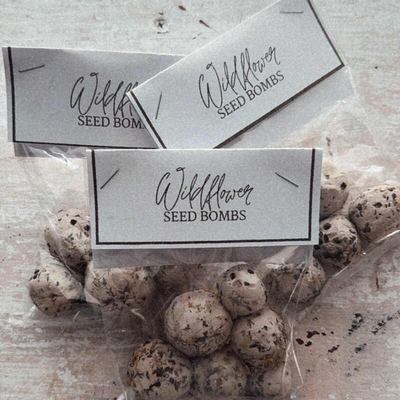 Seed Bombs - Etsy