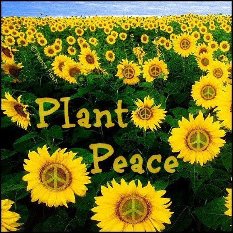 Spell for Peace With Peace Spell Kit | Etsy