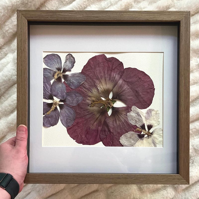 Pressed Tropical Flowers - Etsy
