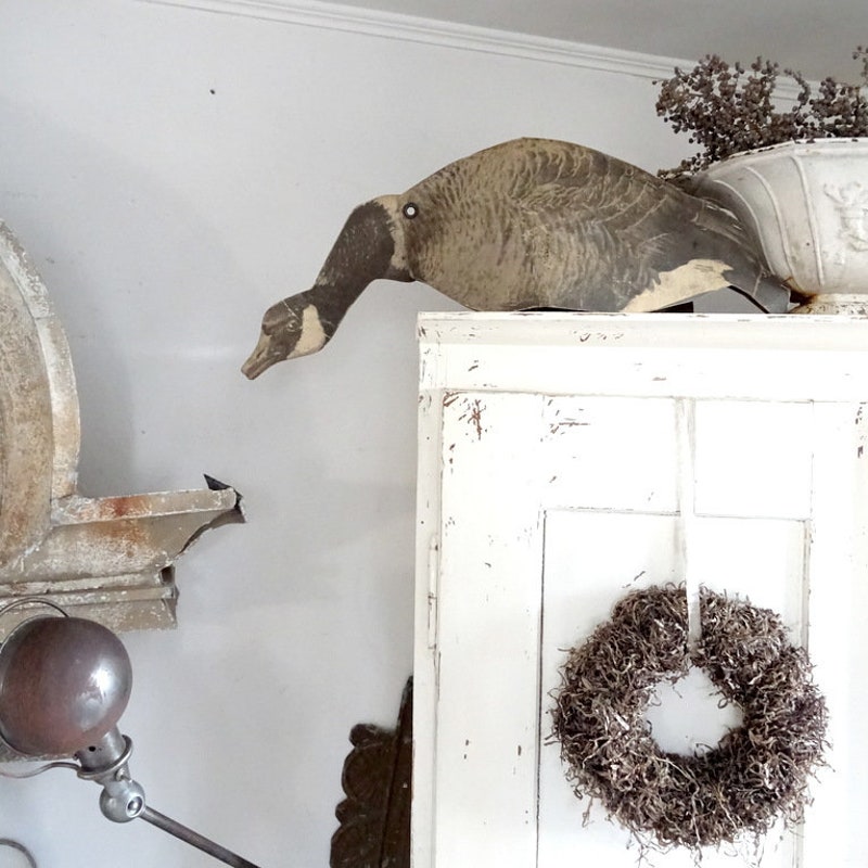 Goose Taxidermy - Etsy