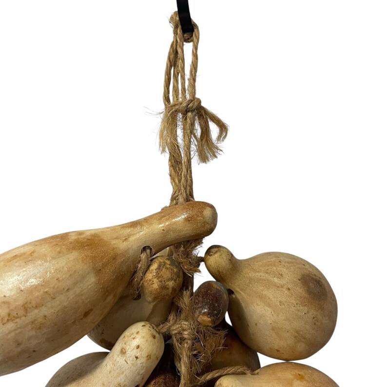 Vintage French Decorative String of Assorted Dried Gourds Rustic ...