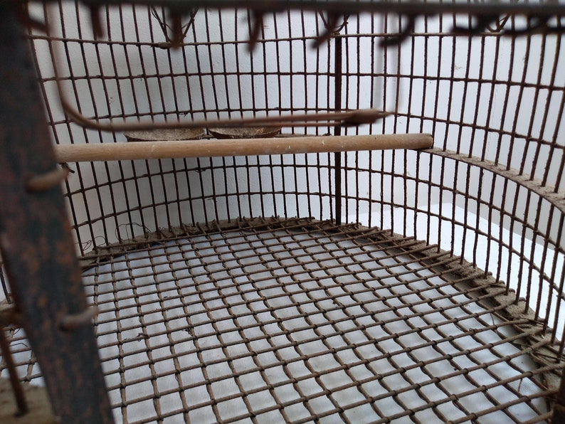 Antique French Large Wood Metal Song Bird Cage Aviary | Etsy