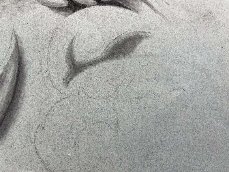 Vintage French Pencil Drawing Plaster Work Corniche Architecture Study ...