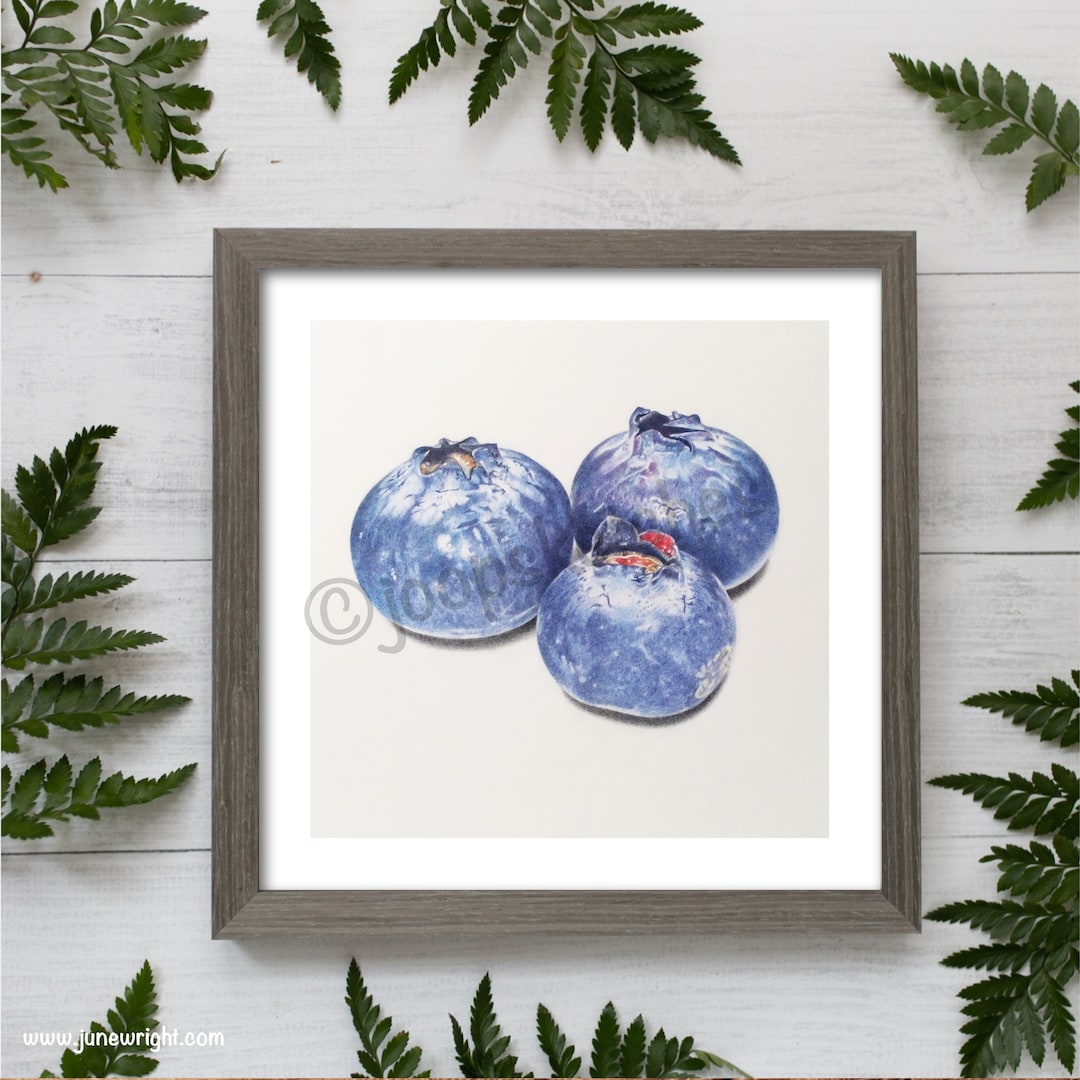 Blueberry, Art Print, Botanical Art, Berry Art, Blueberries, 8x8”, Fine ...