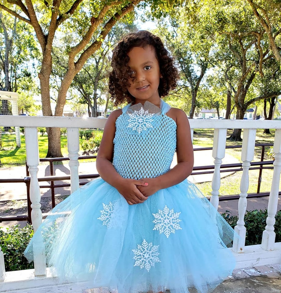 Elsa Tutu Dress/queen Elsa Tutu Dress/princess/inspired by Frozen ...
