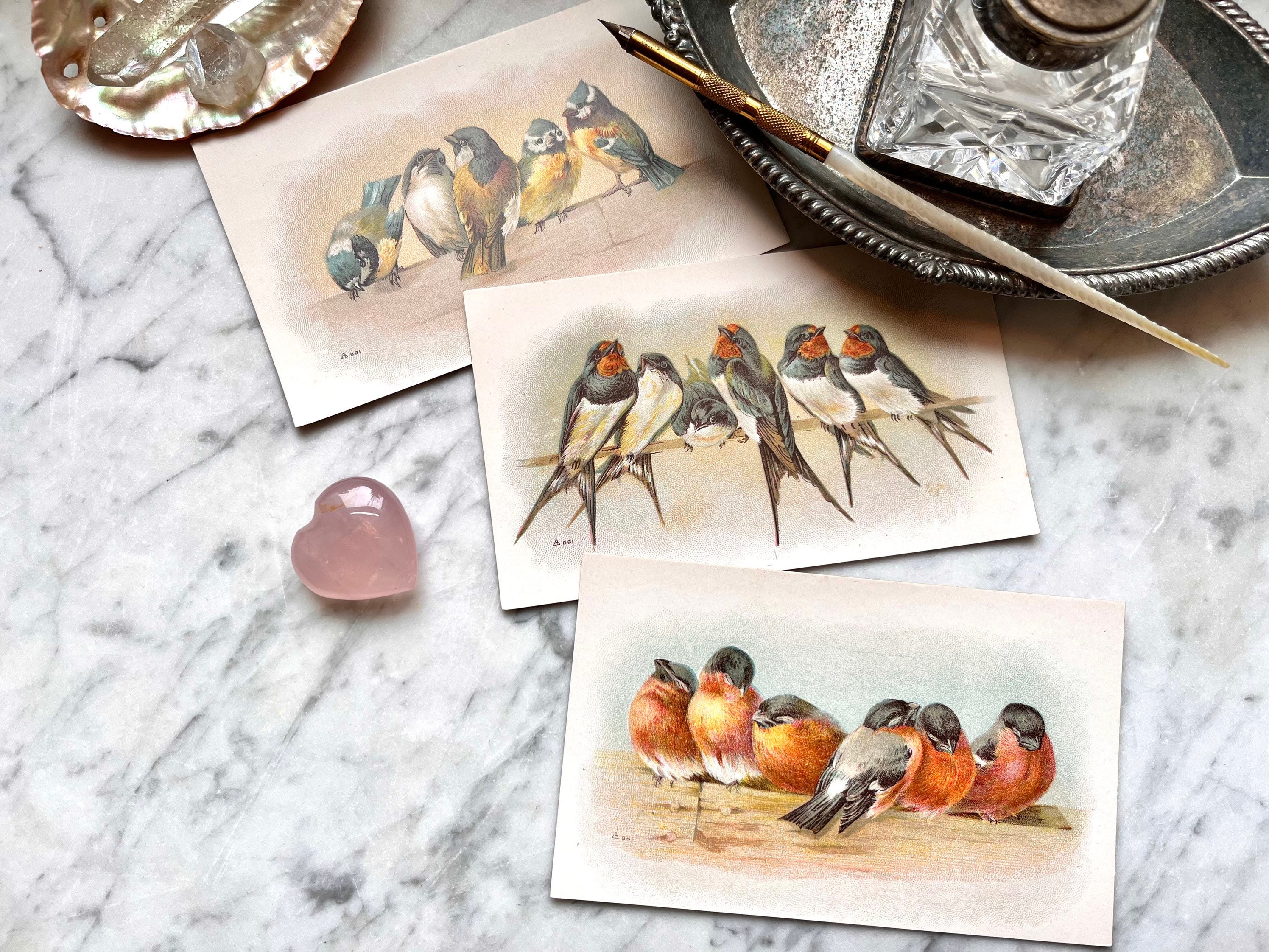 Original Victorian Bird Lithograph Cards Set of 3 Scrapbook, Note Card ...