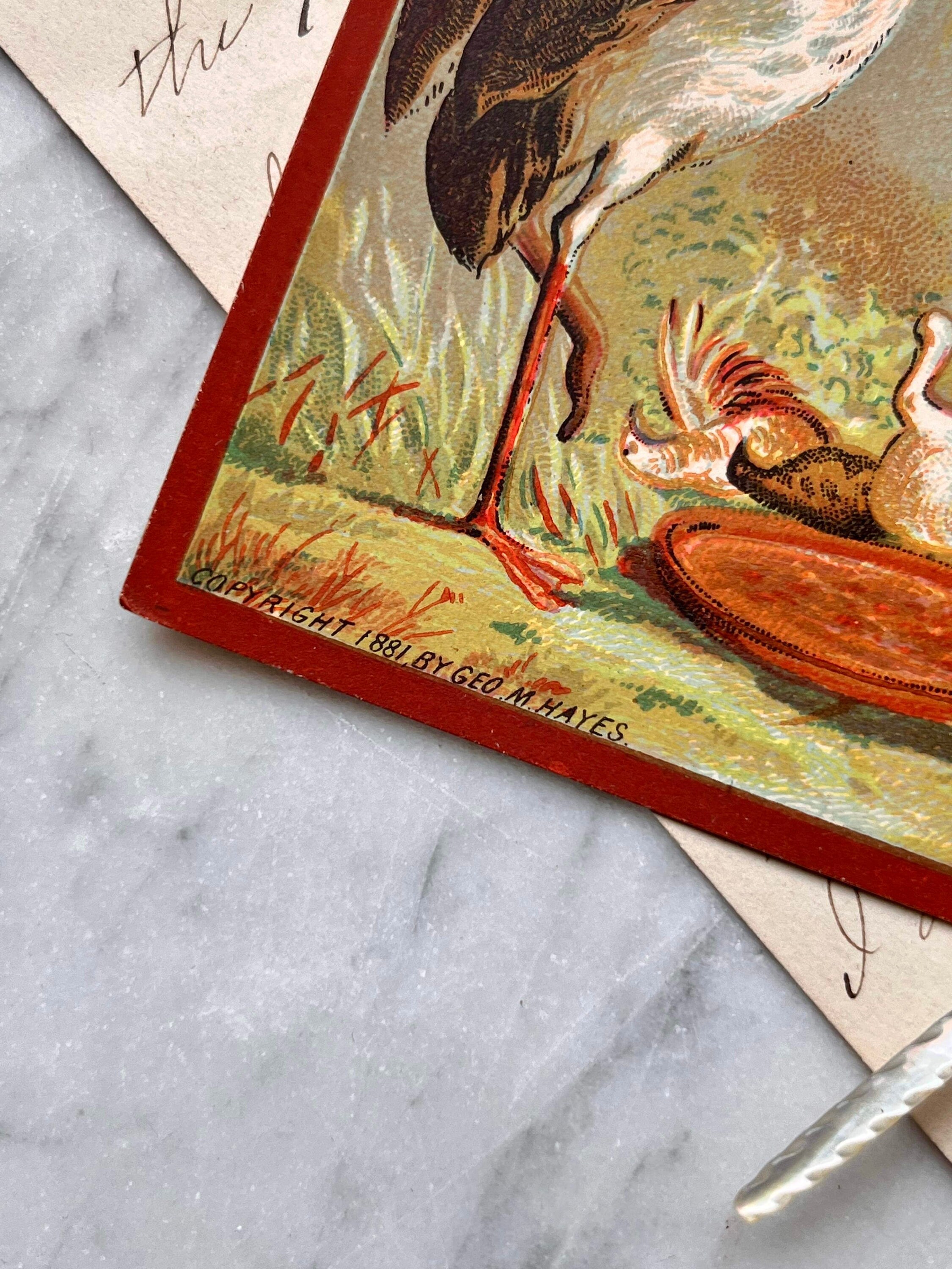 Original 1881 Aesops Fable the Fox & the Stork Lithograph - Etsy