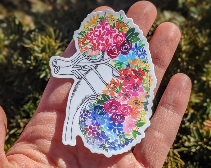 Anatomical Kidney Floral Vinyl Sticker. Vinyl Decal, Laptop Sticker ...