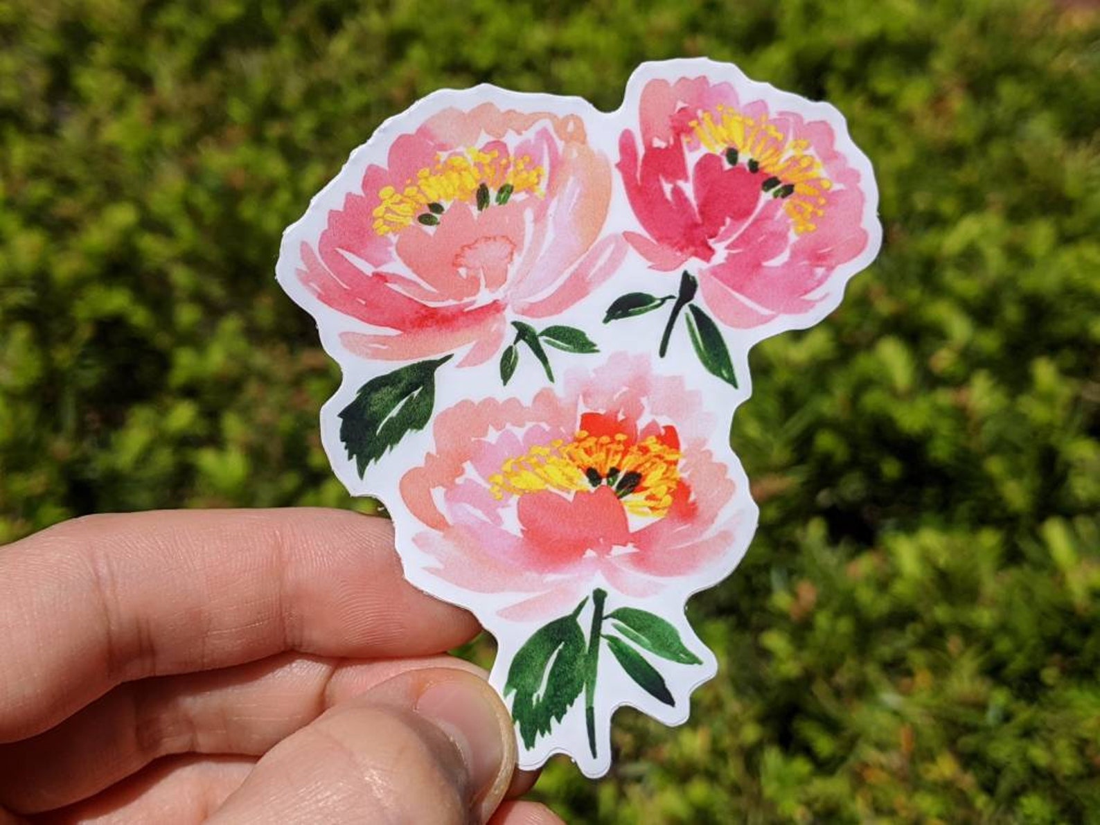 Pink Peony Floral Vinyl Sticker. Watercolor Design Sticker. - Etsy