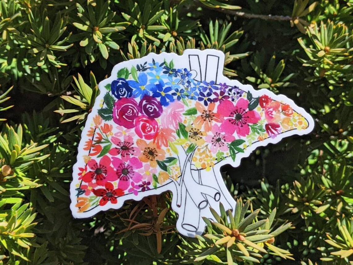 Anatomical Liver Flower Vinyl Sticker Laptop Sticker Nurses. - Etsy