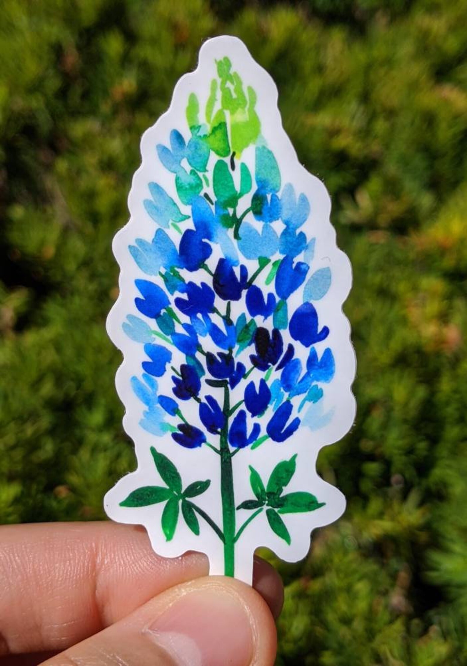 Bluebonnet Floral Vinyl Sticker. Watercolor Design Sticker. - Etsy