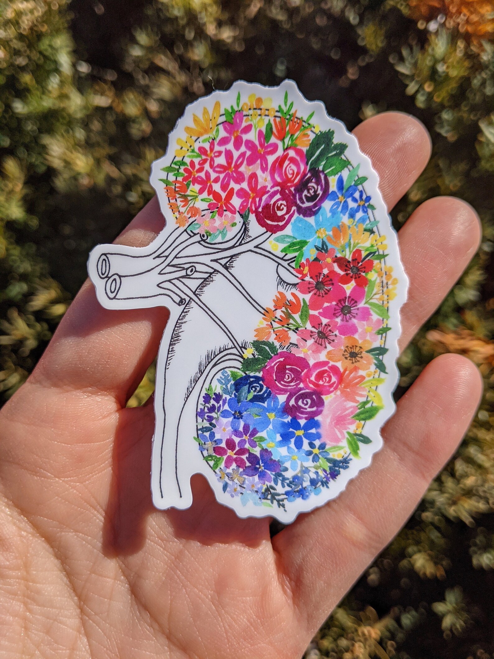 Watercolors Anatomical Kidney Flower Vinyl Sticker. Gift for ...