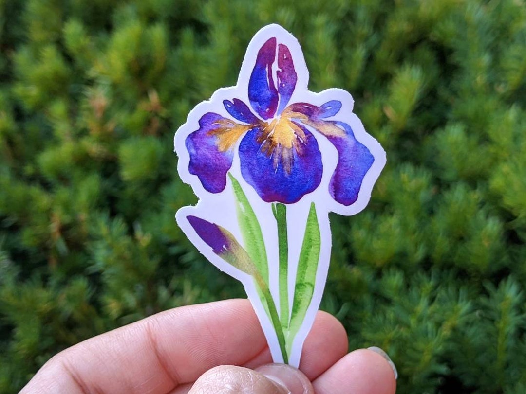 Iris Floral Vinyl Sticker. Watercolor Design Sticker. Flower Vinyl ...