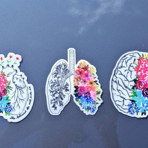 Anatomical Heart Lung Brain Floral Vinyl Sticker Set. Flower Vinyl ...