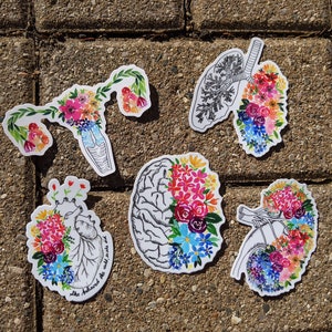 Anatomical Kidney Floral Vinyl Sticker. Vinyl Decal, Laptop Sticker ...