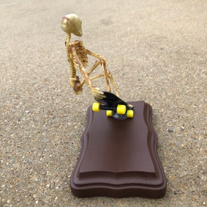 Skateboard Skellie - Halloween Skeleton Party Trophy, Award or ...