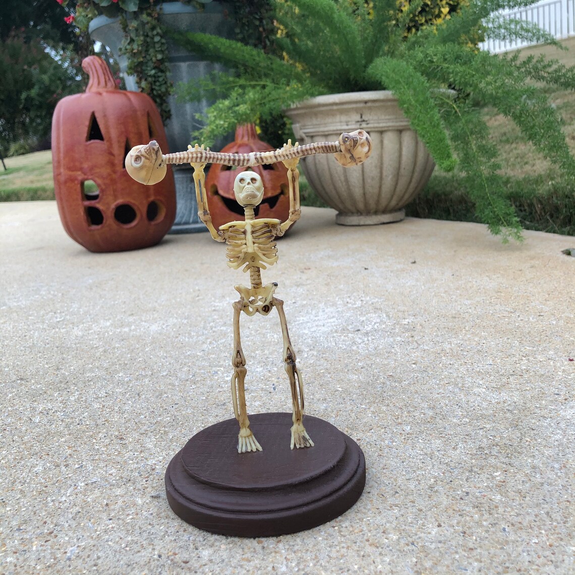 Strong Skellie Halloween Skeleton Party Trophy Award or - Etsy