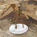 Skeleton Trophy, Award or Decoration ski Contest Winner - Etsy