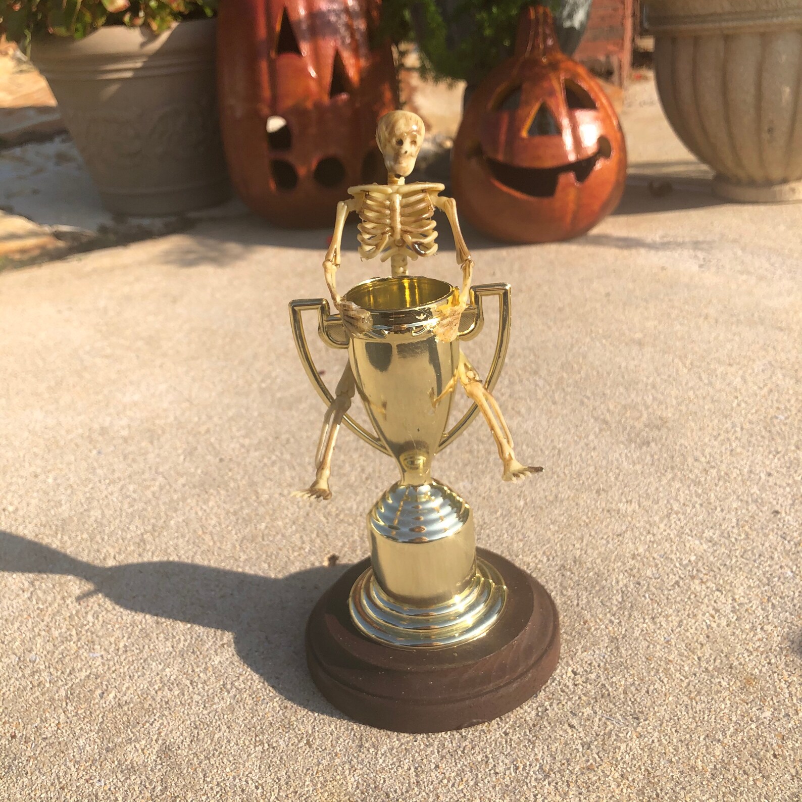 Halloween Skeleton Party Trophy Award or Centerpiece trophy - Etsy