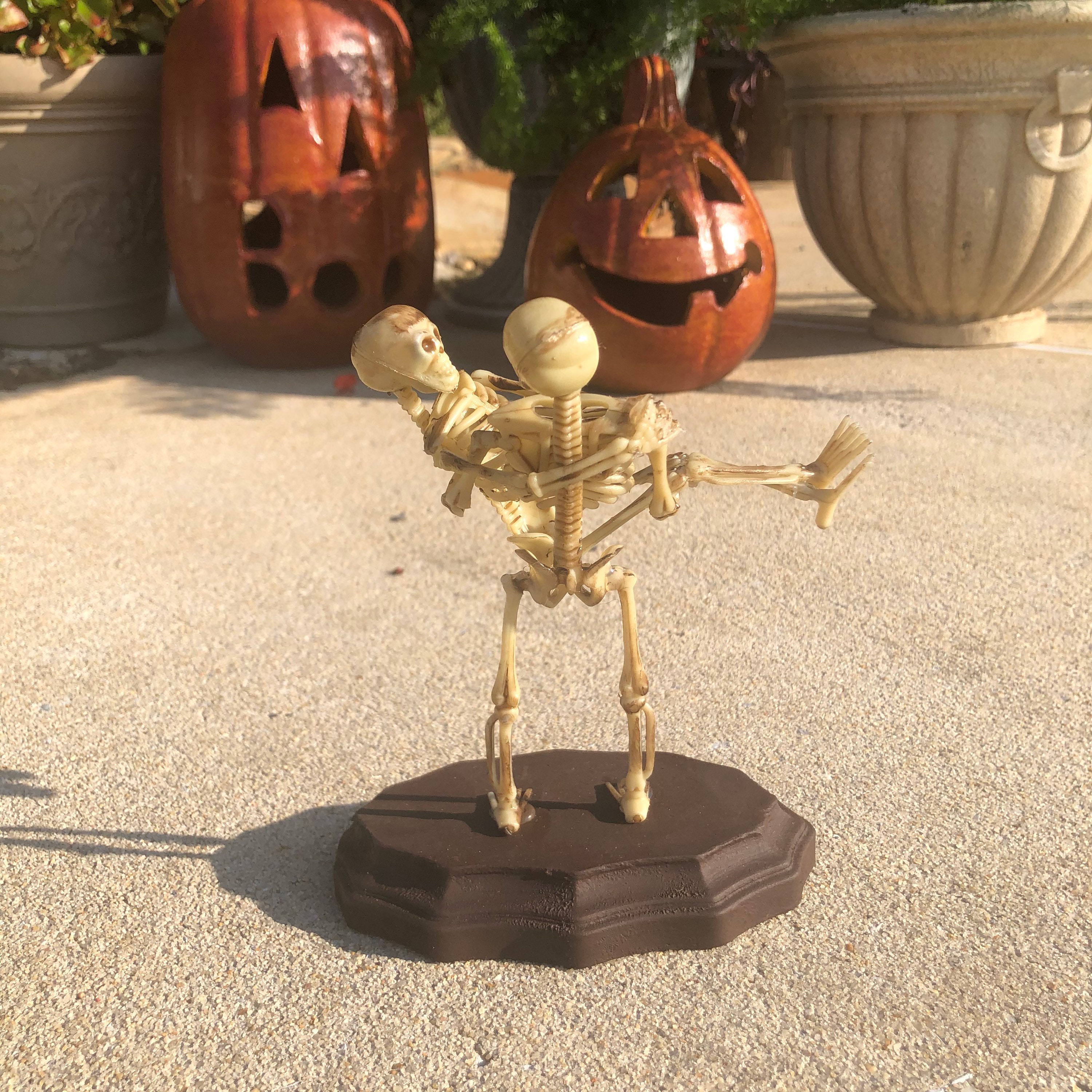 Halloween Skeleton Party Trophy Award or Centerpiece Sweet | Etsy