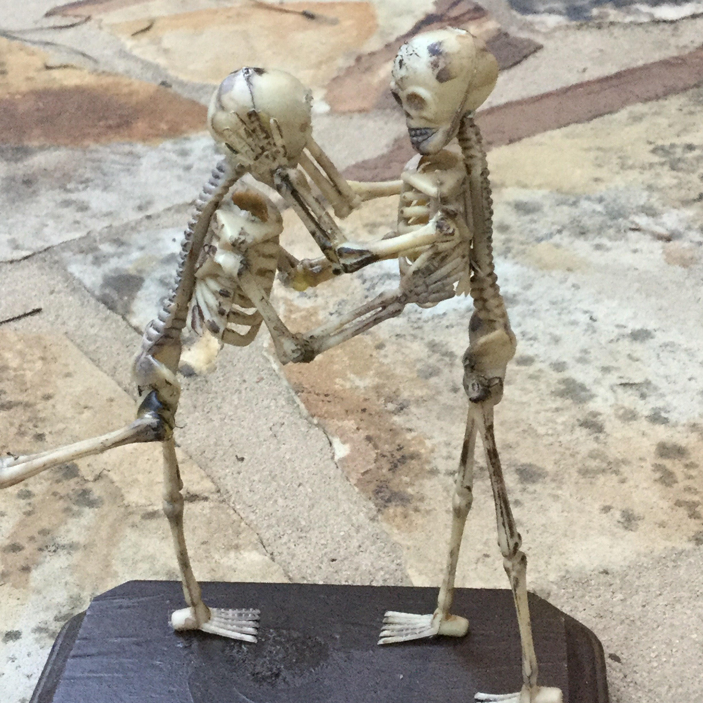 Cutest Couple Halloween Skeleton Party Trophy Award or - Etsy