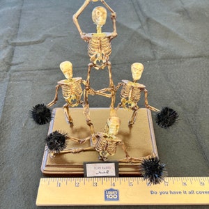 Cheer Team Award - Gold/silver/bronze - Halloween Skeleton Party Trophy ...