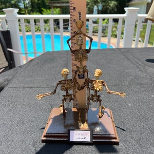 Team Award - Gold/silver/bronze - Halloween Skeleton Party Trophy ...
