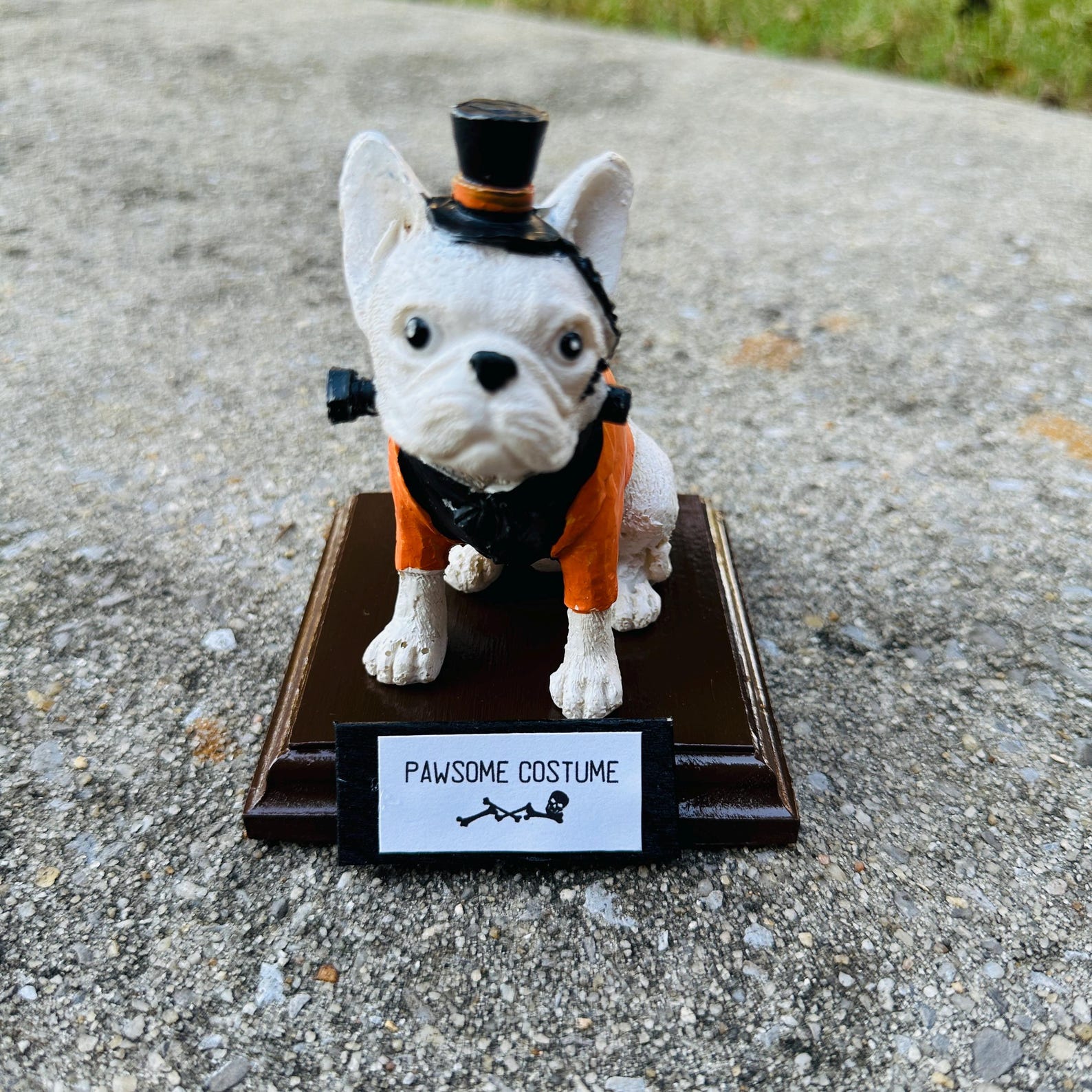Pet Costume Award Trophy With Custom Mini Wood Plaque - Halloween Party ...