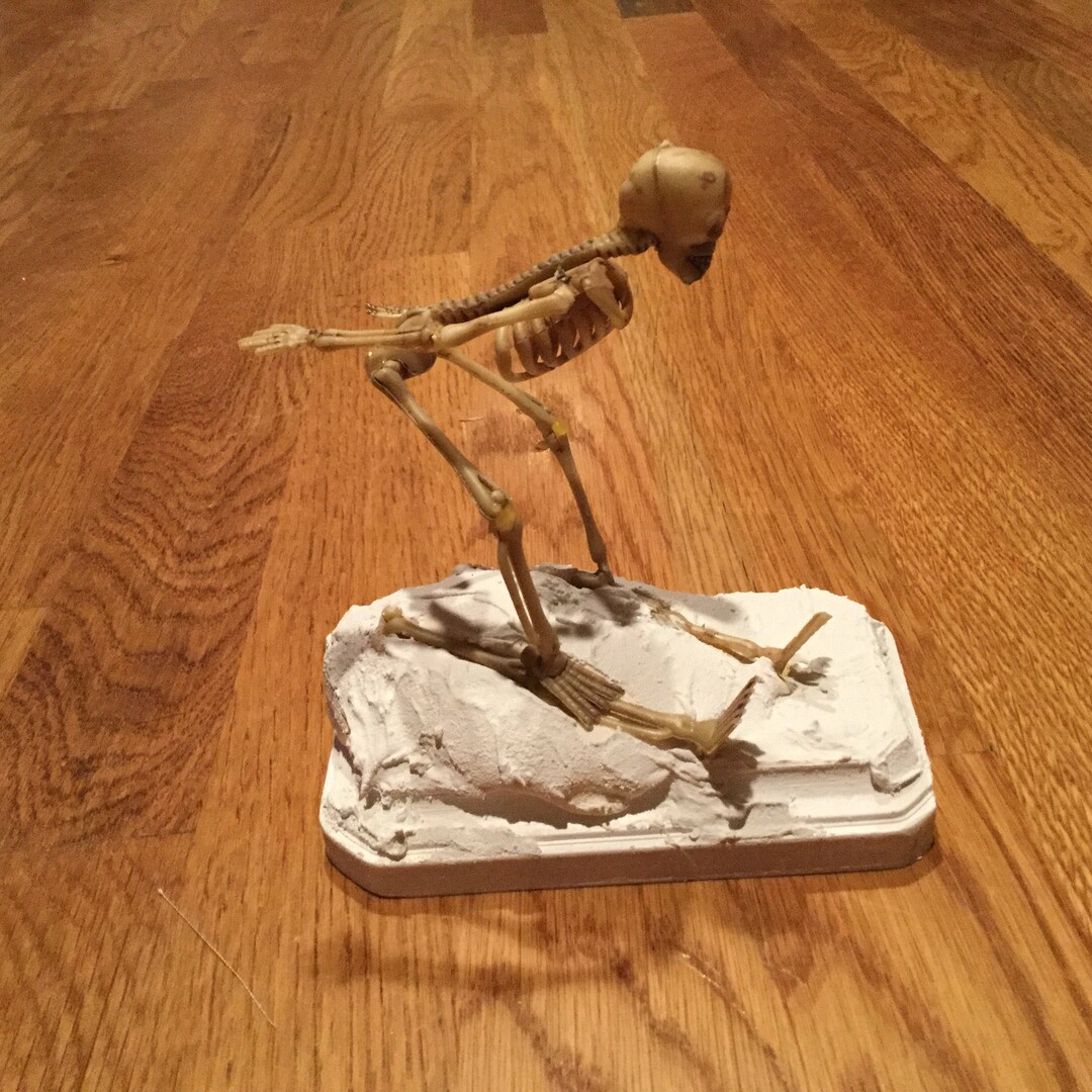 Skeleton Trophy, Award or Decoration - "ski Jumper" - Etsy