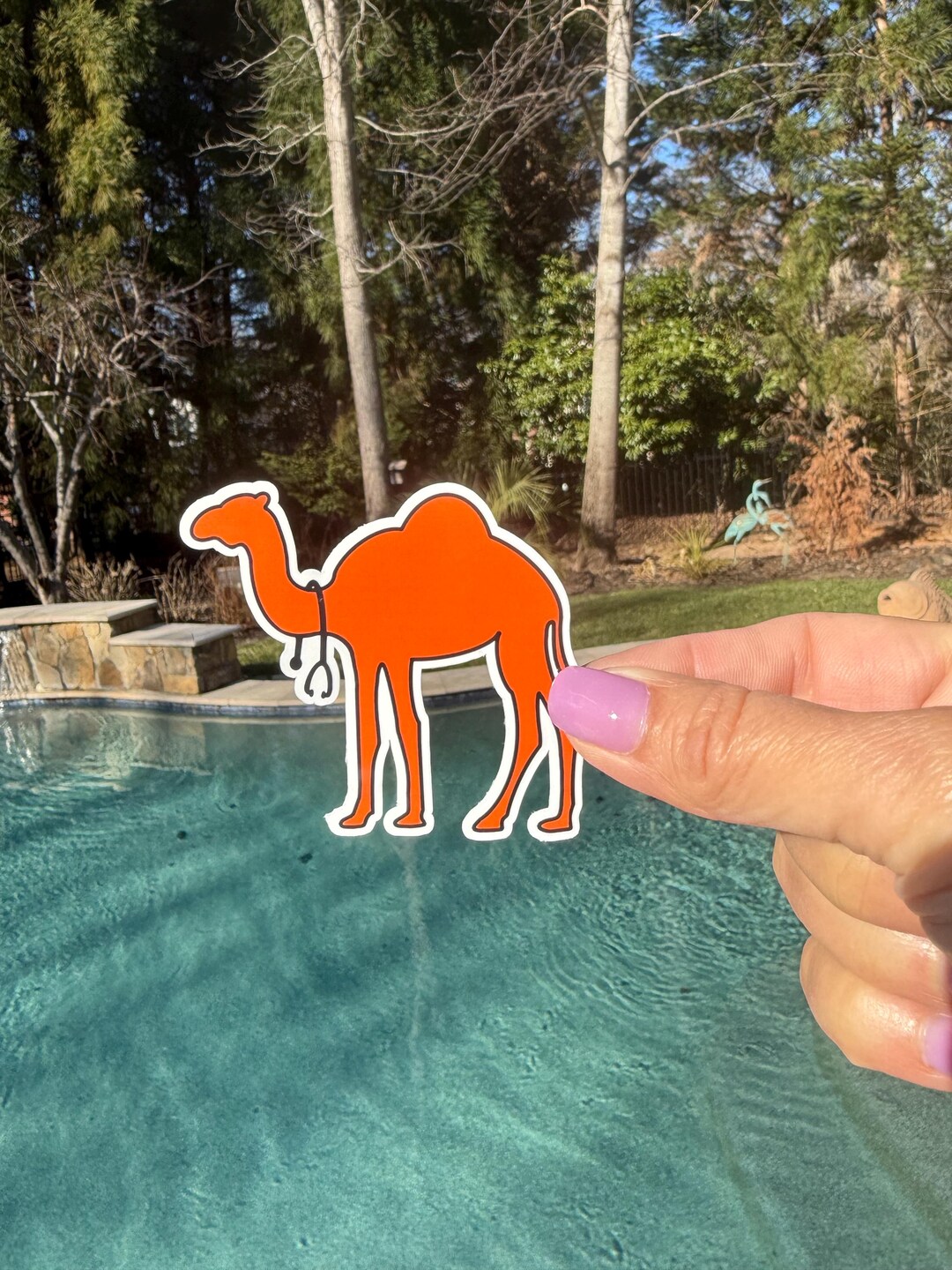 Doctor Camel Sticker - Etsy