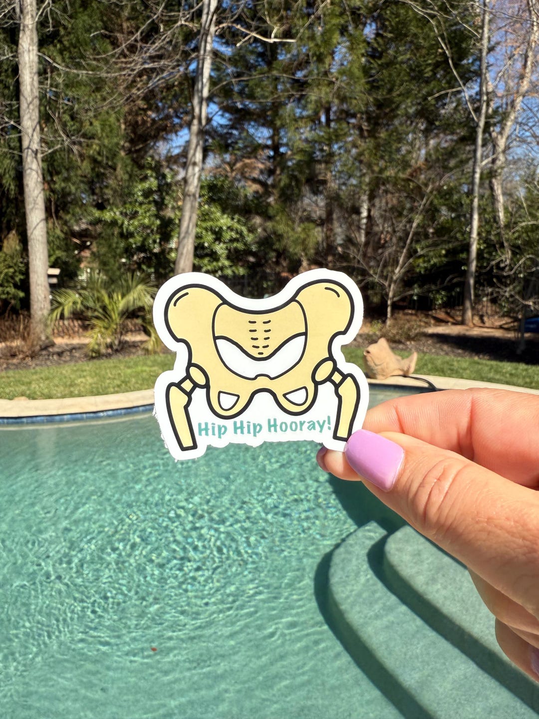 Hip Sticker - Hip Hip Hooray! - Orthopedic Surgery Sticker, Ortho ...