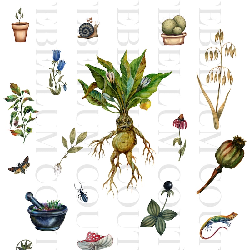 Herbology - Etsy