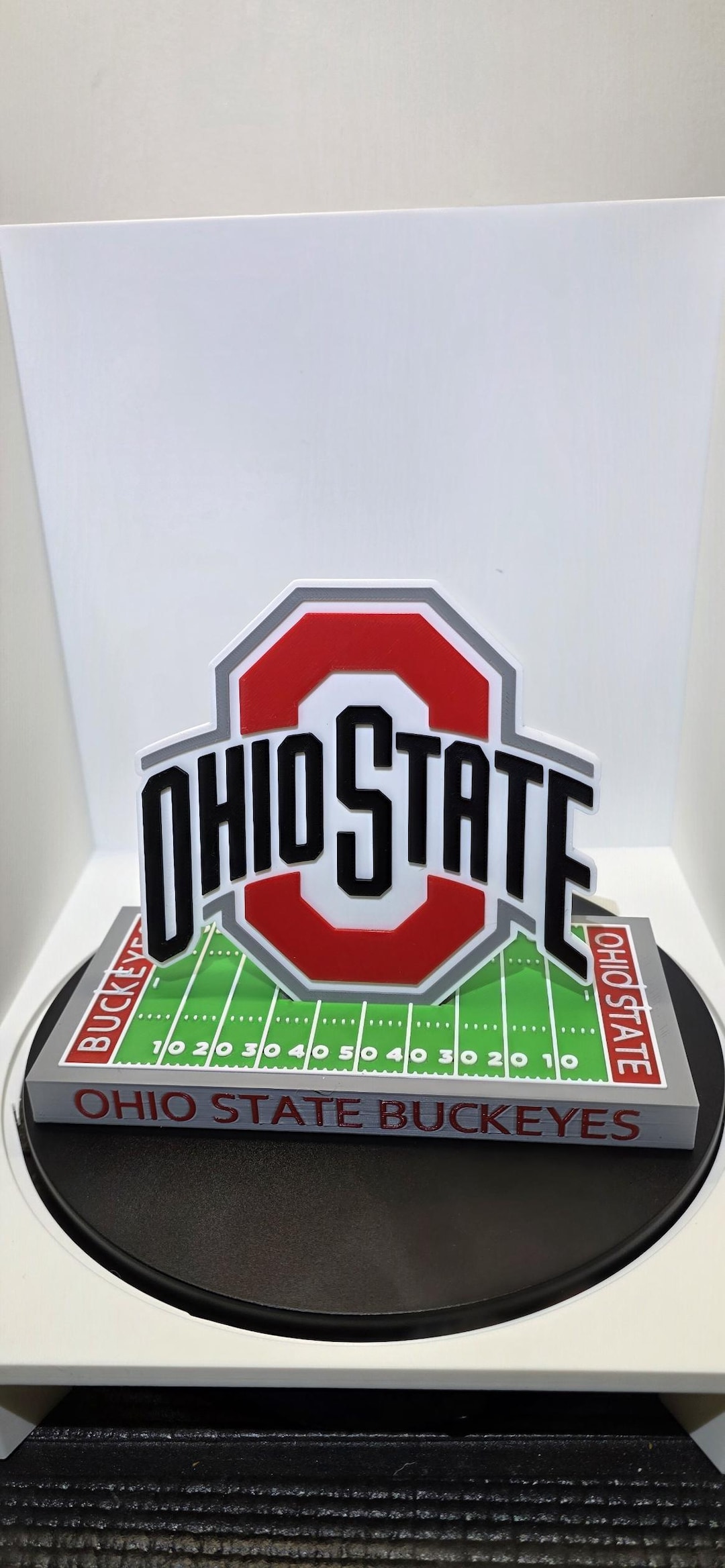 Ohio State Football Field Display With Removable Block O - Etsy