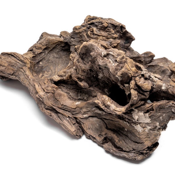 Natural Driftwood - Etsy