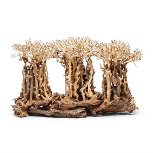 Bonsai Driftwood Aquarium Tree jungle Style Bonsai Drift Wood, Aquarium ...