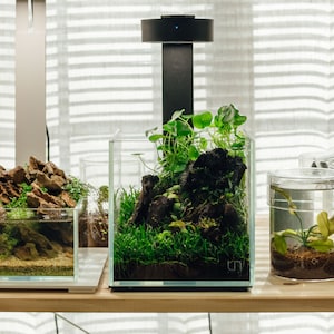 Cube Rimless Aquarium, High Quality Ultra Clear Seamless Glass Tank ...