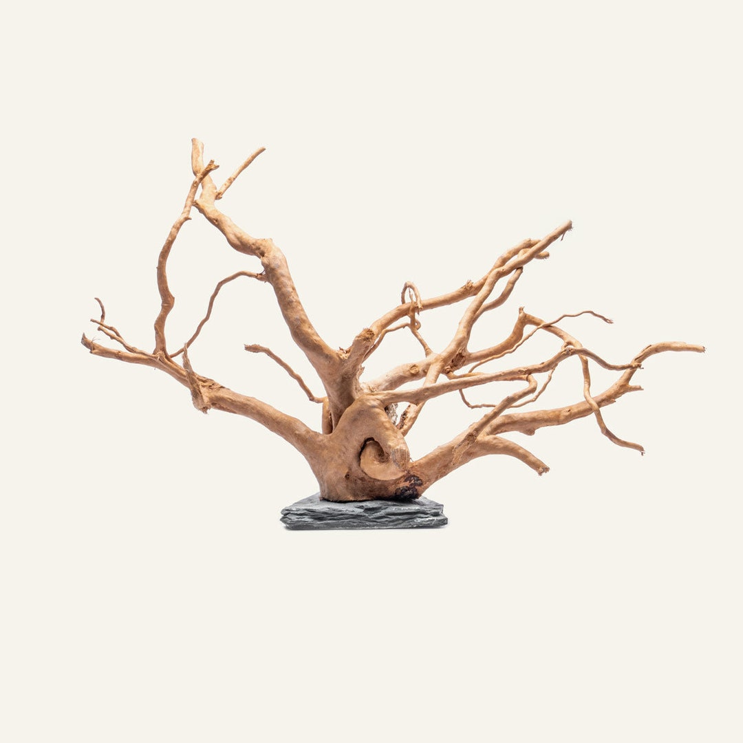 Spider Wood Aquarium Driftwood for Aquarium, Terrarium, Vivarium, and ...