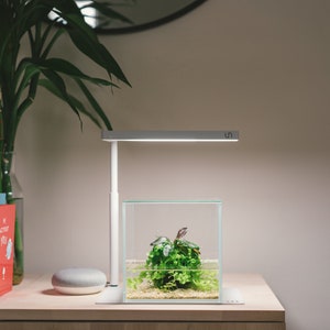 Cube Rimless Aquarium, High Quality Ultra Clear Seamless Glass Tank ...