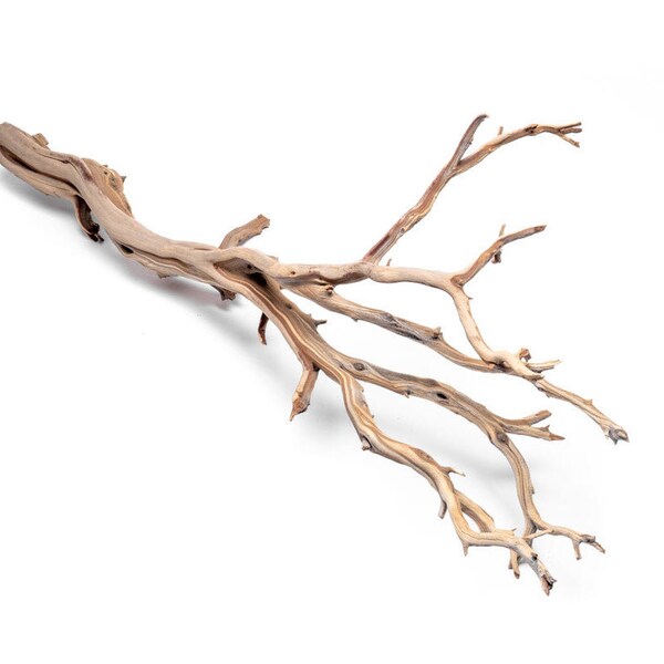 Driftwood Branch - Etsy