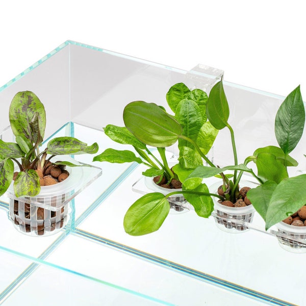 Floating Planter for Aquarium - Etsy