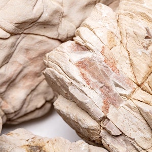 Aquarium Rocks - White Elephant Skin Stone for Planted Tanks ...