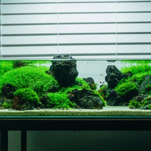 Black Lava Rock - Ships FREE! | Natural Lava Stone Hardscape for ...