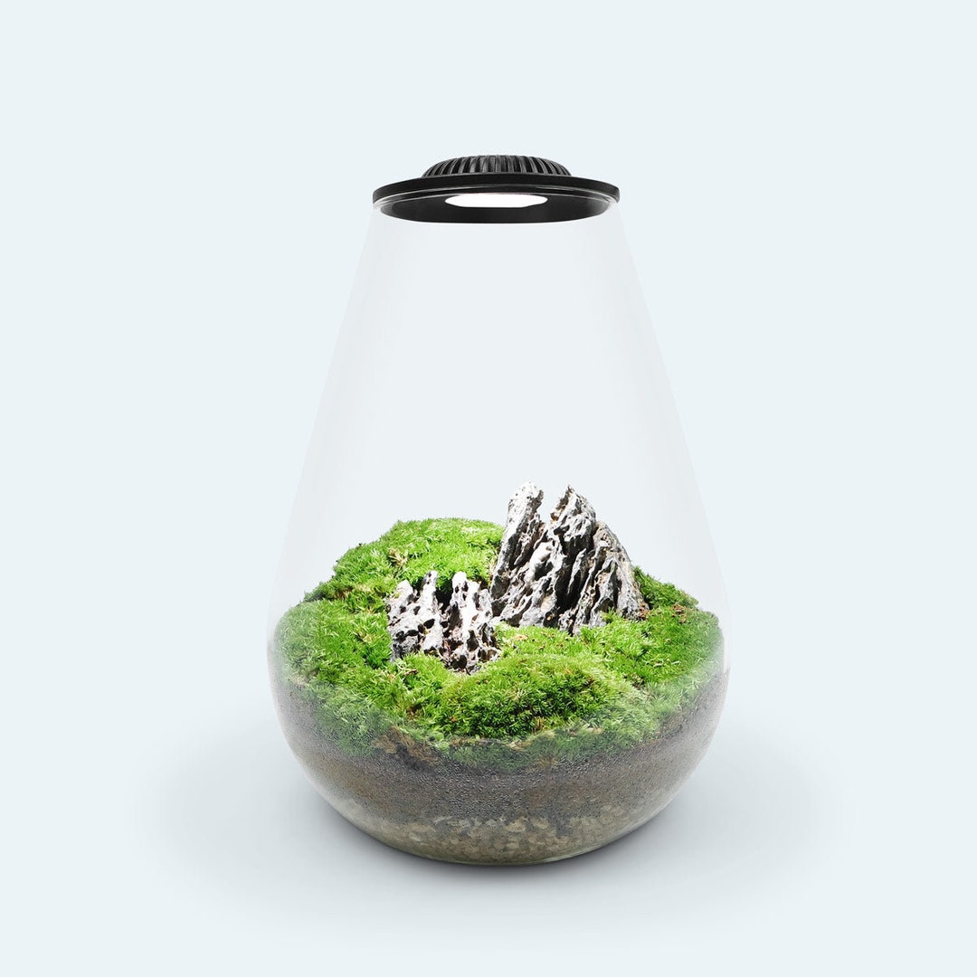 DIY Terrarium Kit - Fairy Garden Terrarium Glass With LED Light ...