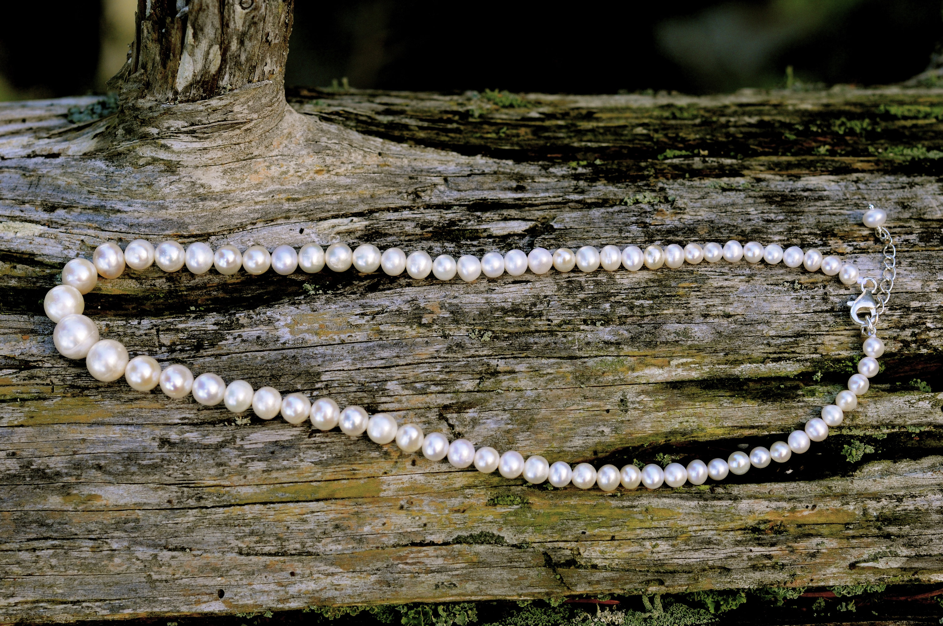 A Timeless String of White Pearls - Etsy
