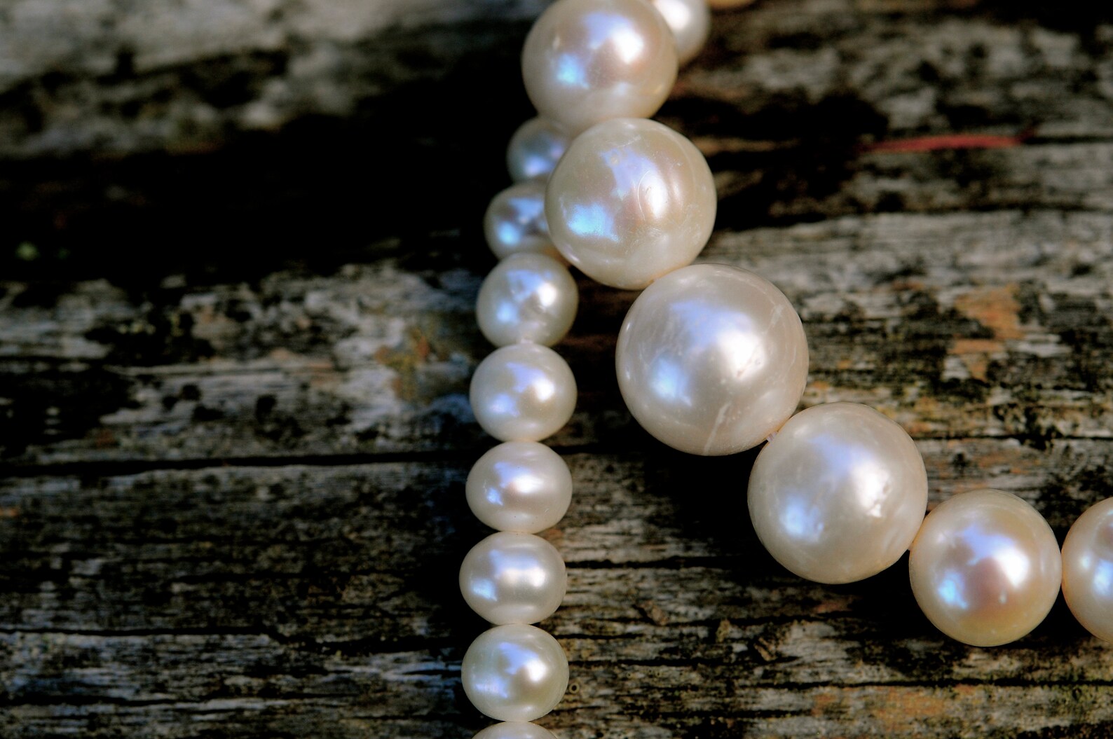 A Timeless String of White Pearls | Etsy