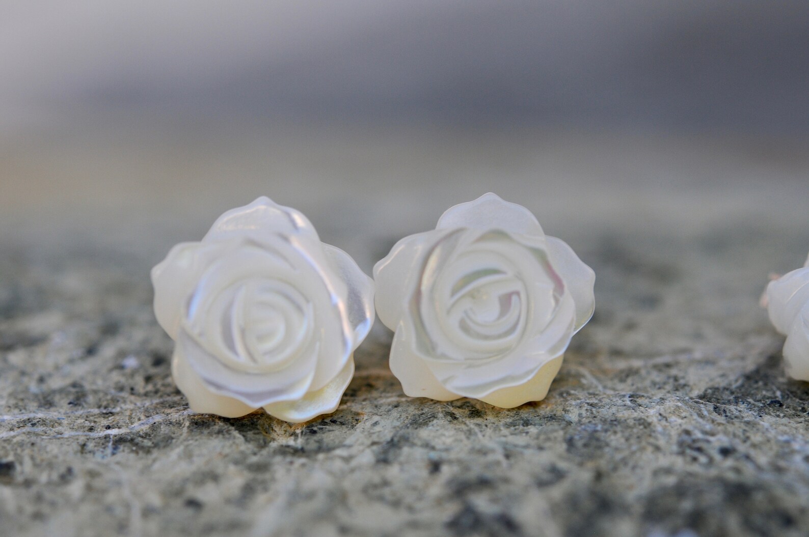 Carved Sea Shell Rose Studs - Etsy