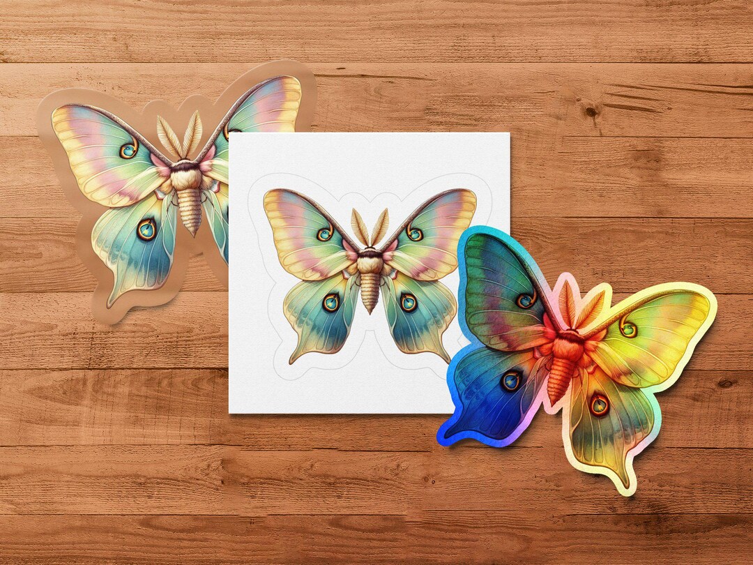 Beautiful Moth Sticker, Colorful Moth Decal, Rainbow Moth Illustration ...